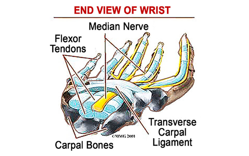 Manually Evaluating and Treating the Wrist and Hands