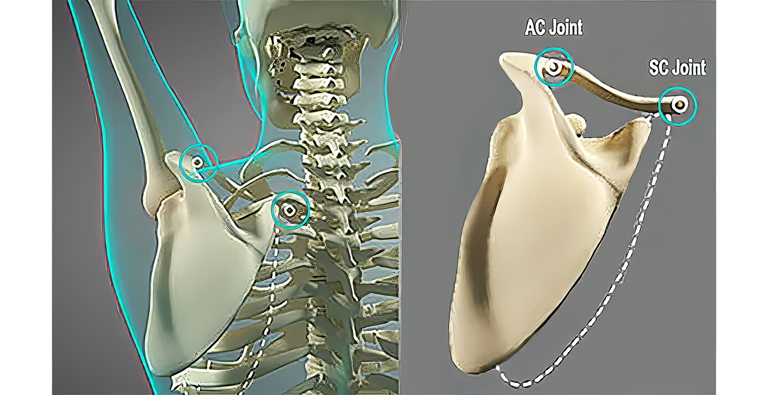 I’m blaming it on the AC joint! - Erik Dalton Blog